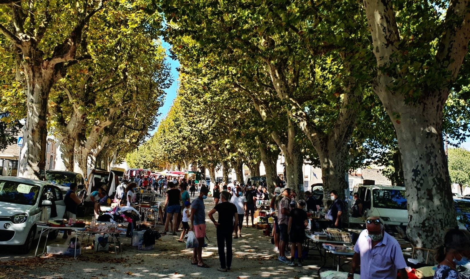 Puce des Marchés du Hangar - Conseil départemental du Gard - www.gard.fr
